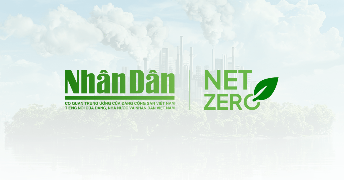 Không tìm thấy trang | Net Zero | Net Zero Việt Nam - Chuyên trang của ...