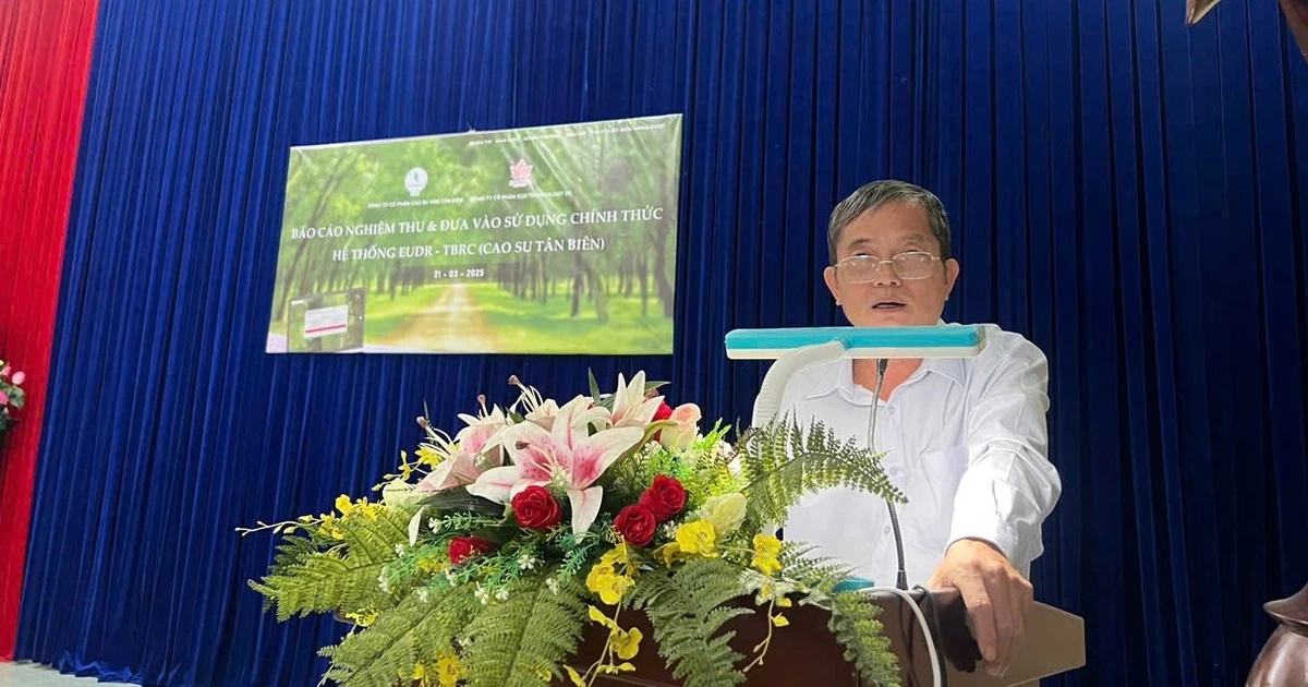 Ứng dụng EUDR-TBRC để quản lý rừng bền vững | Báo Nhân Dân điện tử