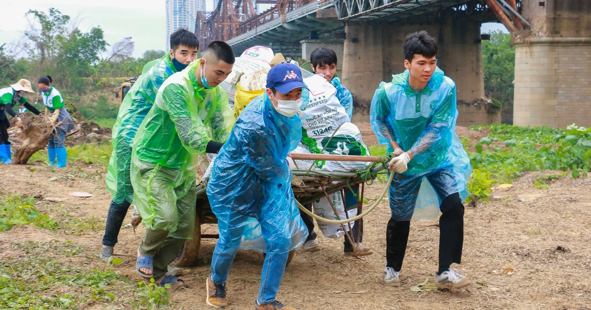 Hội Yêu Rác và hành trình trả lại màu xanh cho bãi giữa sông Hồng | Báo ...