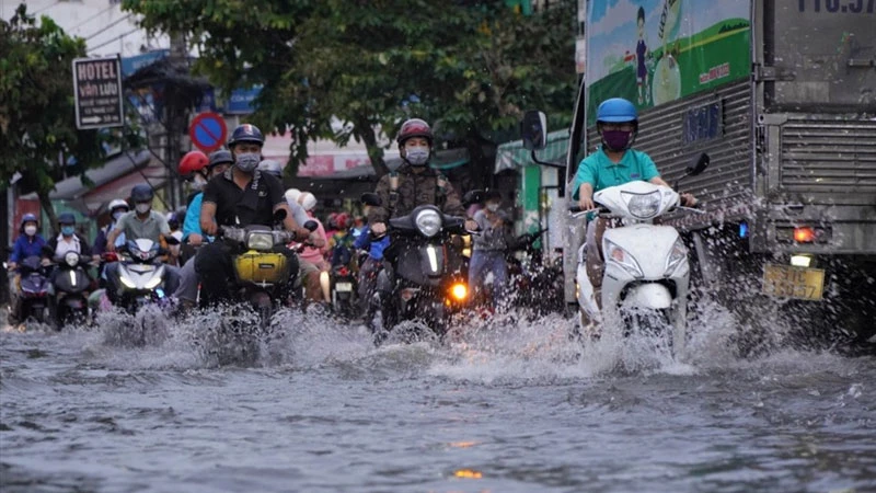 Triều cường ven biển Đông Nam Bộ dâng cao, cảnh báo ngập úng diện rộng