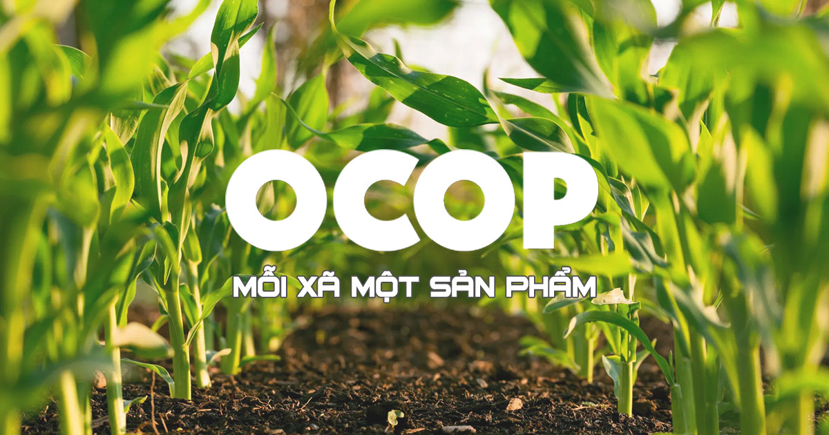 Chương trình OCOP - Mỗi xã một sản phẩm