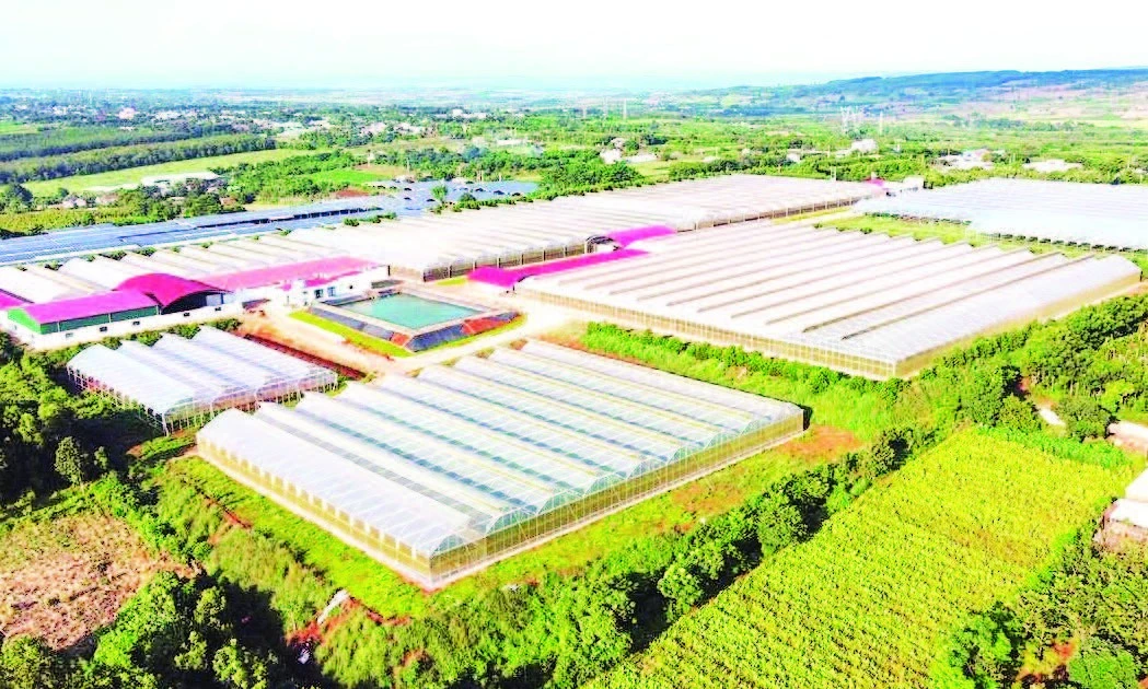 Tiềm năng vàng trong xuất khẩu nông sản | Báo Nhân Dân điện tử