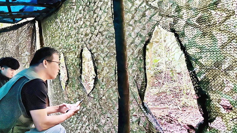 Rong chơi cùng các loài rực rỡ | Báo Nhân Dân điện tử